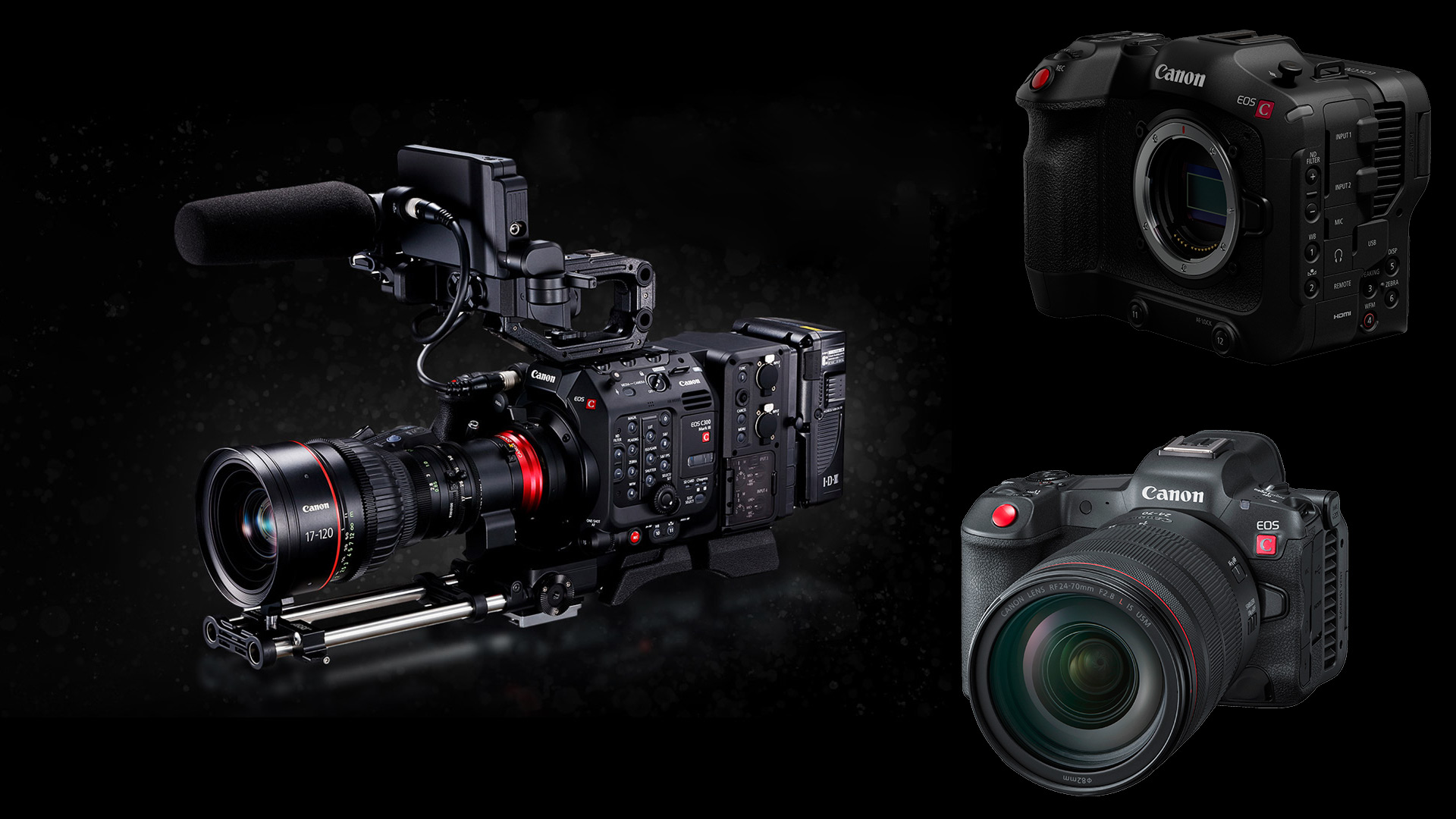 Home Page BJ Photo (Canada) | Since 1984 | Waterloo, Ontario's Camera ...